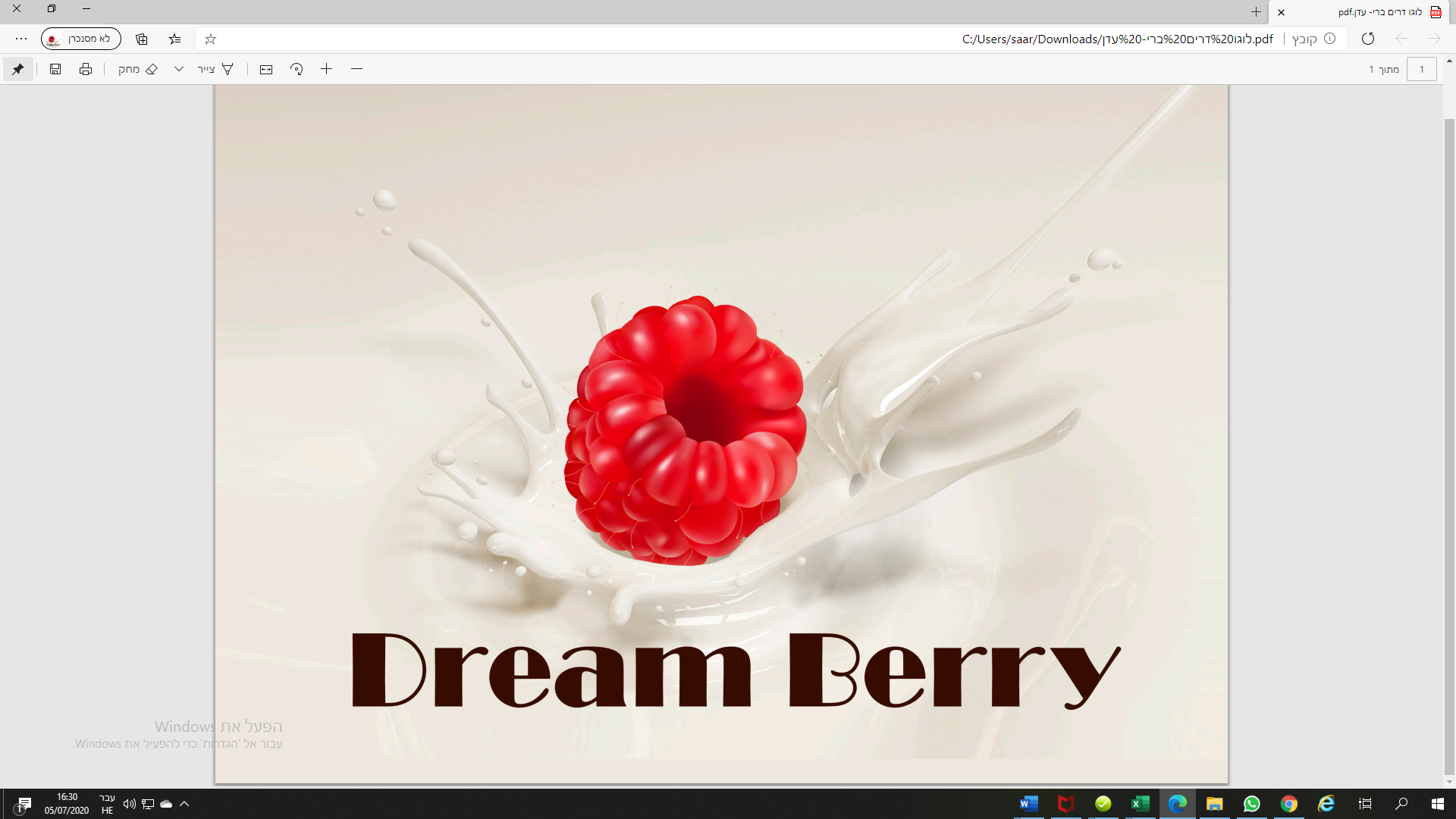 אינדקס ספקי גפ"ן: dream berry • קטלוג התוכניות החינוכיות